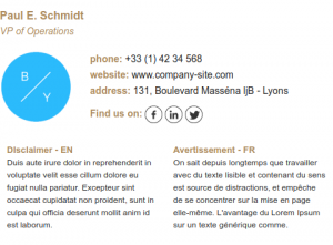 53 Eye-Catching HTML Email Signatures Examples (+Tips)