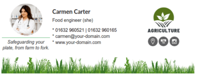 Designing Email Signatures for Professional Engineers (+Examples)